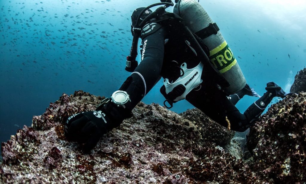 Enriched Air Nitrox (EAN) | TSC Esslingen